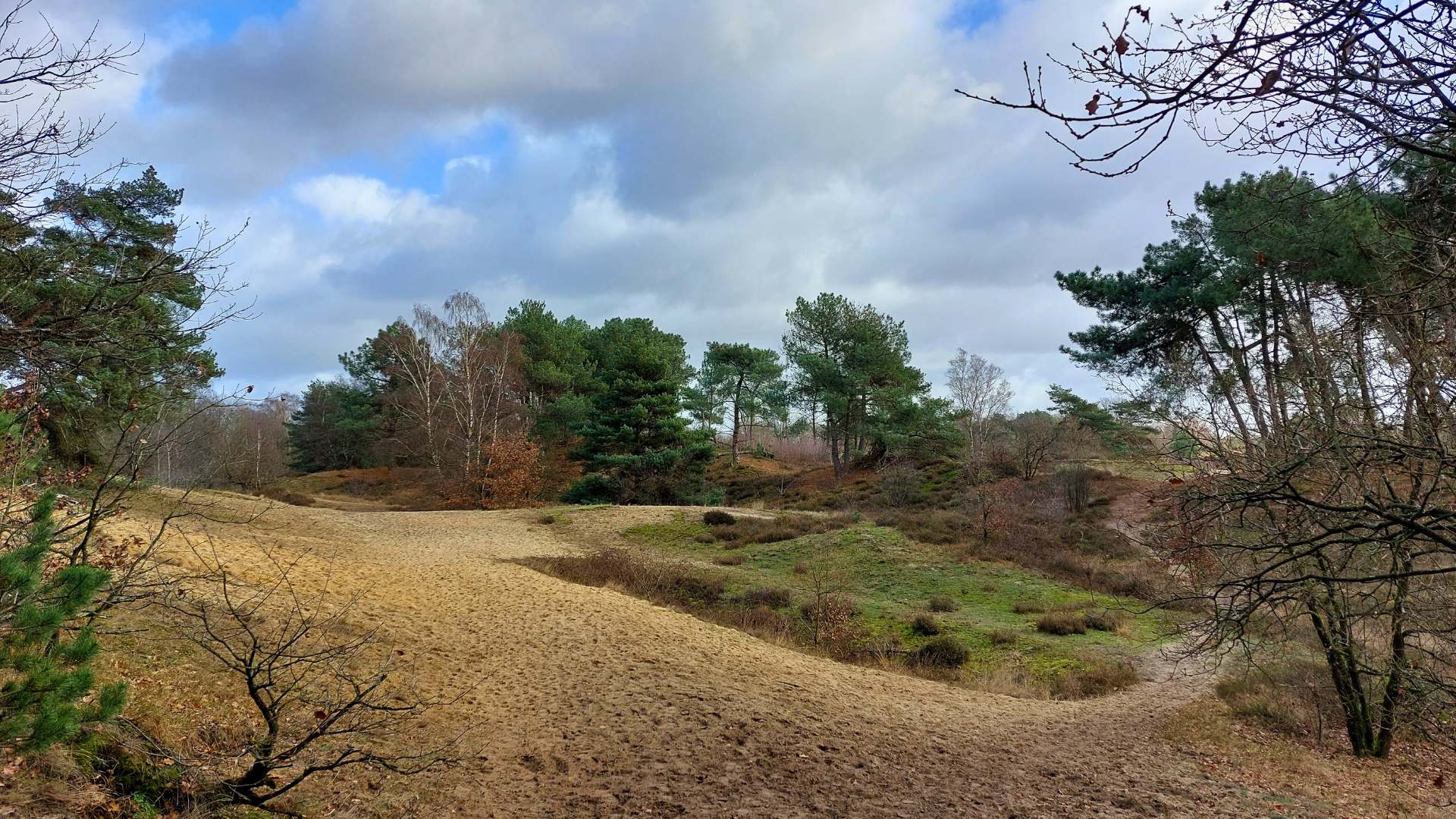 B&B voor de natuurliefhebber, rustzoeker & dierenvriend.